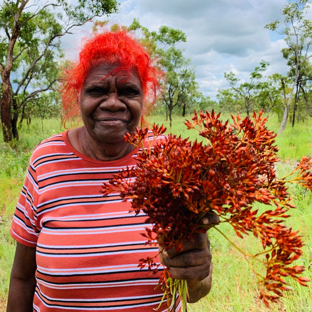 Why invest in Indigenous Women in Entrepreneurship in remote Australia ...